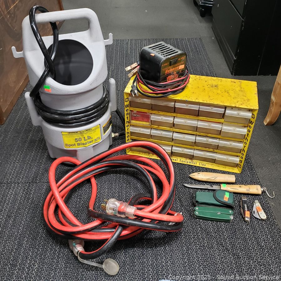 Sound Auction Service - Auction: 06/11/25 SAS Gold Coins, Collectible ...